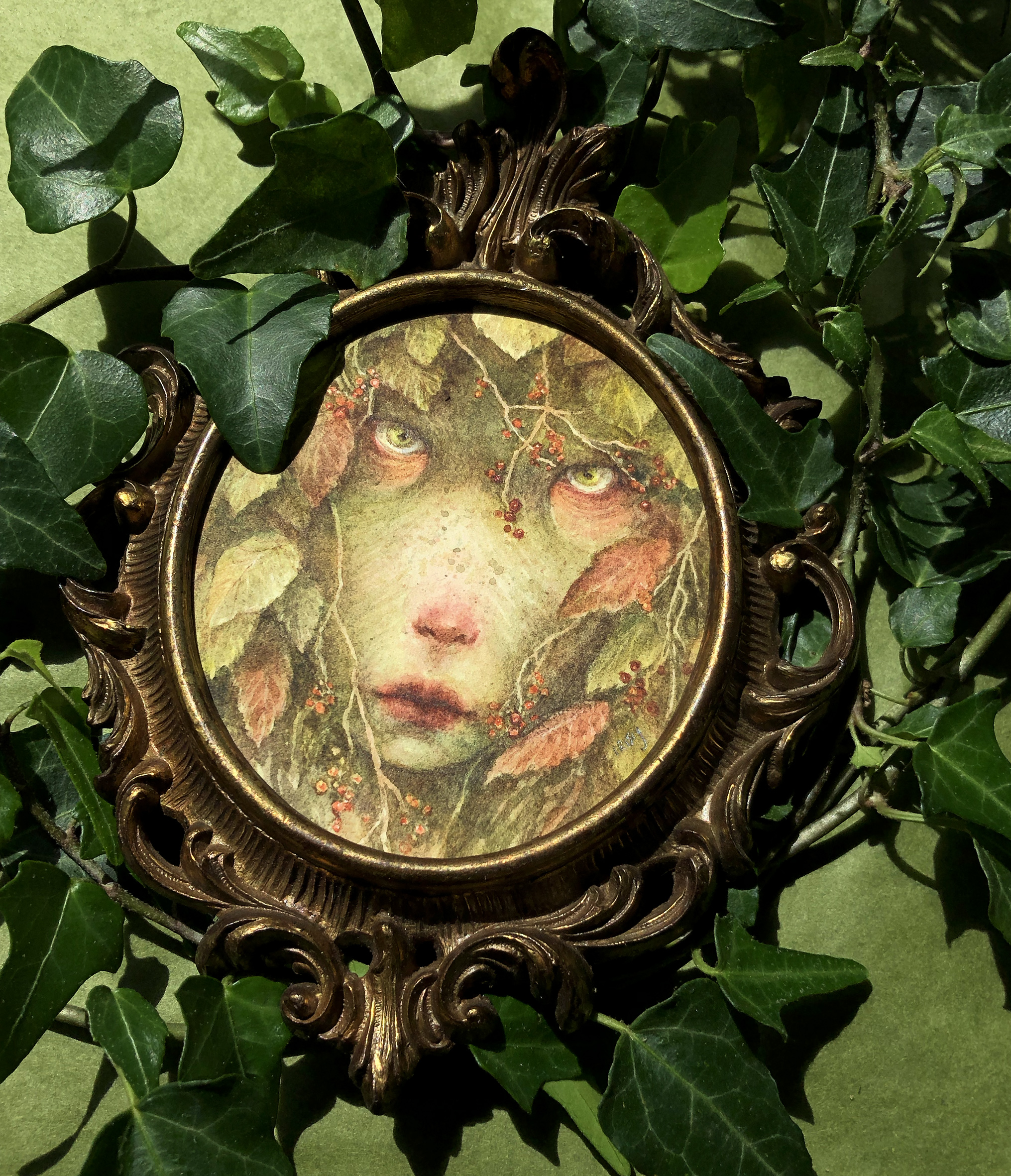 Hedgewitch - Every Day Original